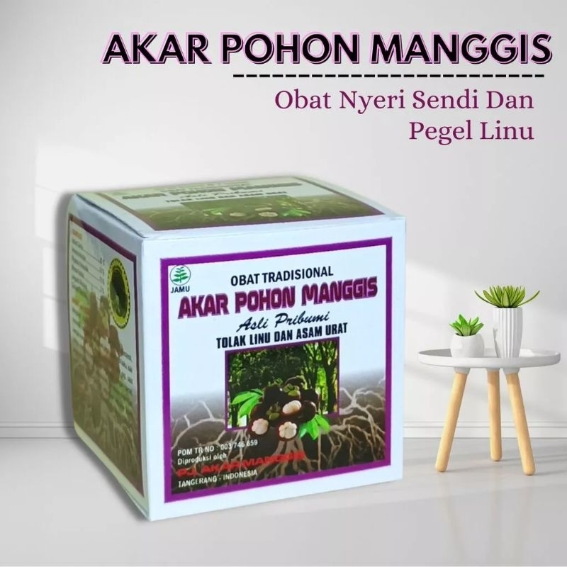 Original mangosteen tree roots capsules, uric acid mangosteen tree ...
