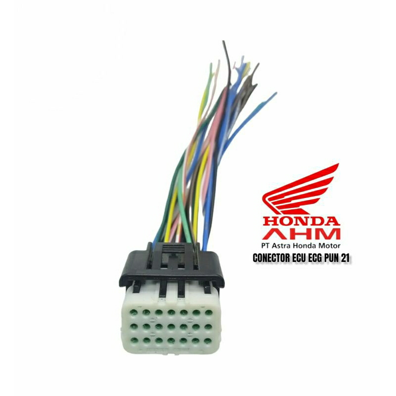 Pin 21 CABLE SOCKET CONTROL UNIT SCUECTOR HONDA PCX MODULE SOCKET ...