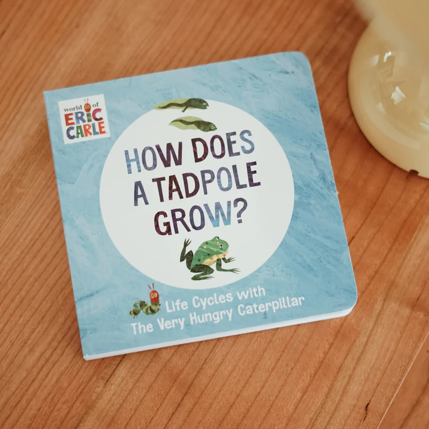 Life Cycles with The Very Hungry Caterpillar Book Series | Shopee Malaysia