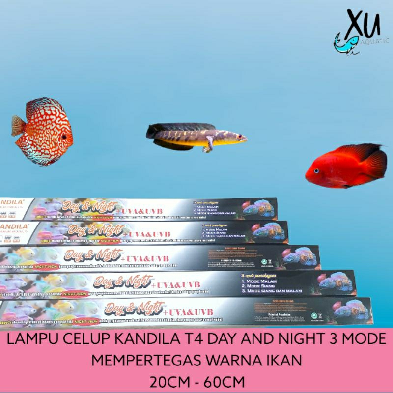 Kandila DAY & NIGHT VIEW N-20 N-30 N-40 N-50 N-60 Economical CELIP T4 ...