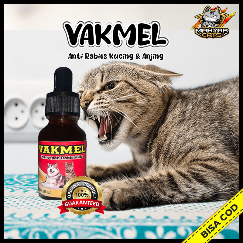 Vakmel Prevention Of Rabies Cats And Dogs Anti Rabies Cats Anti Rabies ...
