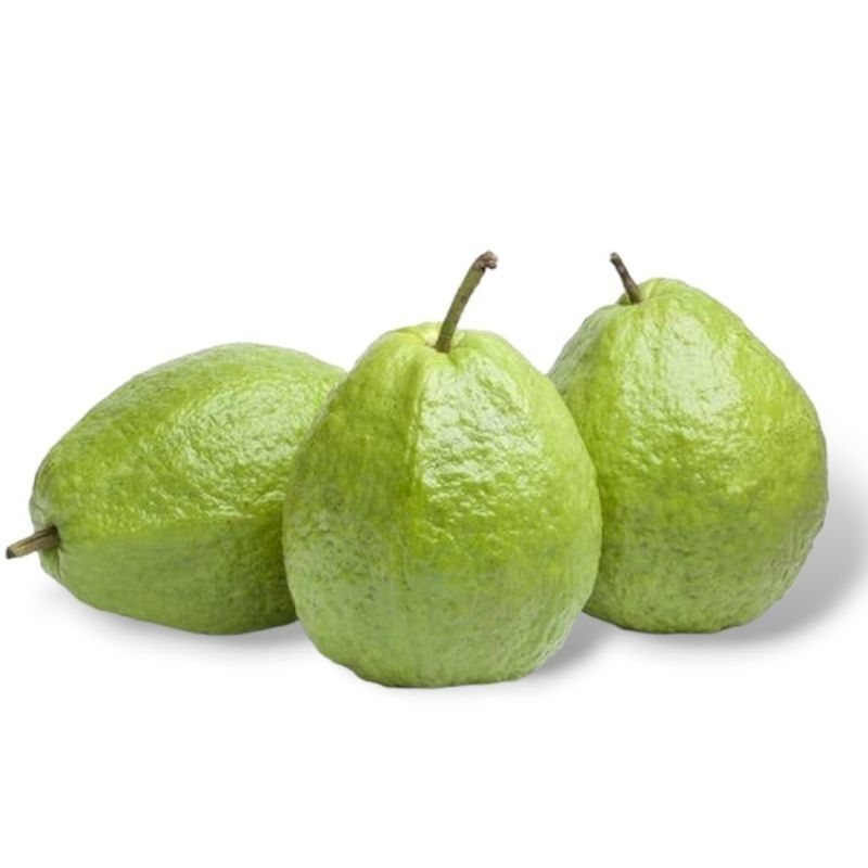 REPLIKA Replica of guava fruit (1pcs) / Children's toys / Children's ...