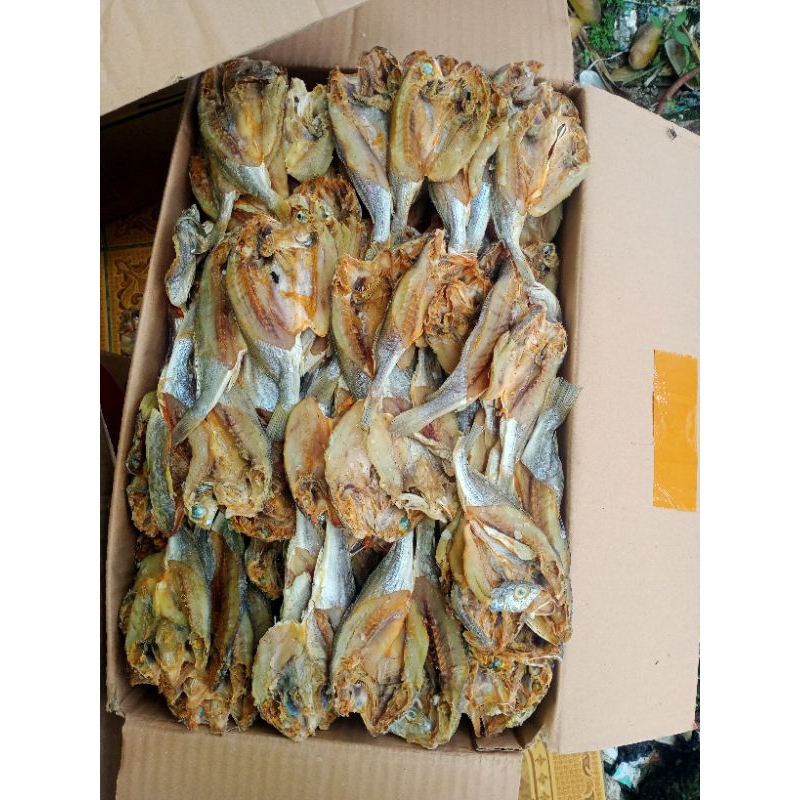 Stone head salted fish 500gr | Shopee Malaysia
