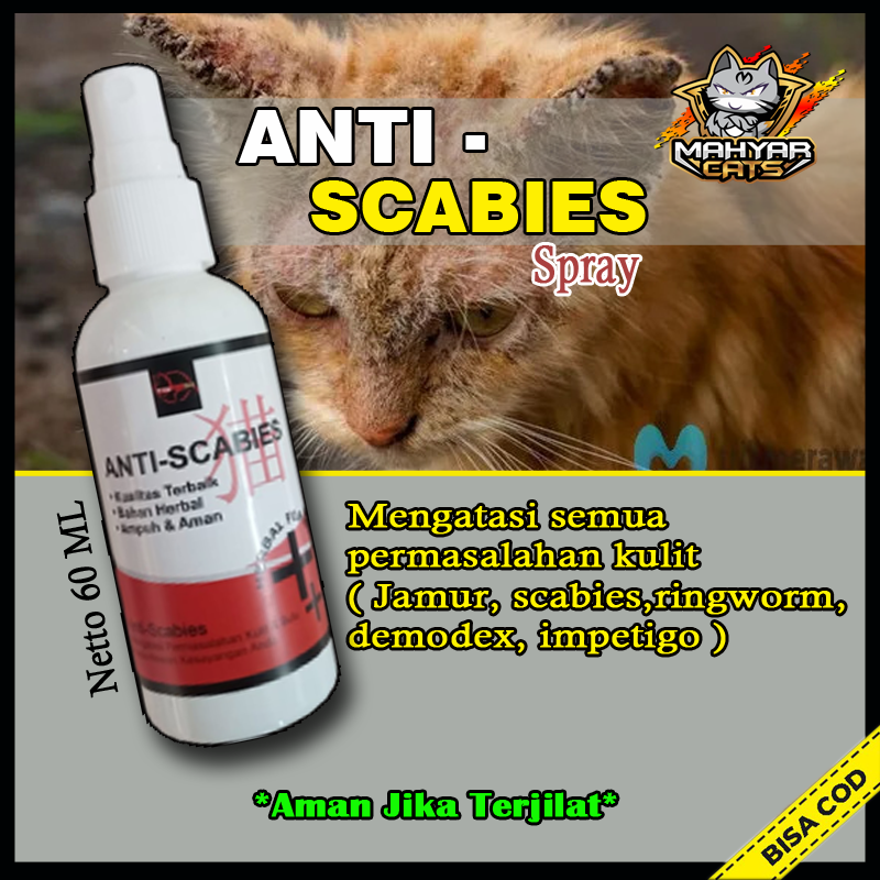 ( 02 ) ANTI Scabies Cat Fungus Medicine Skin Medicine Scabies Demodex ...