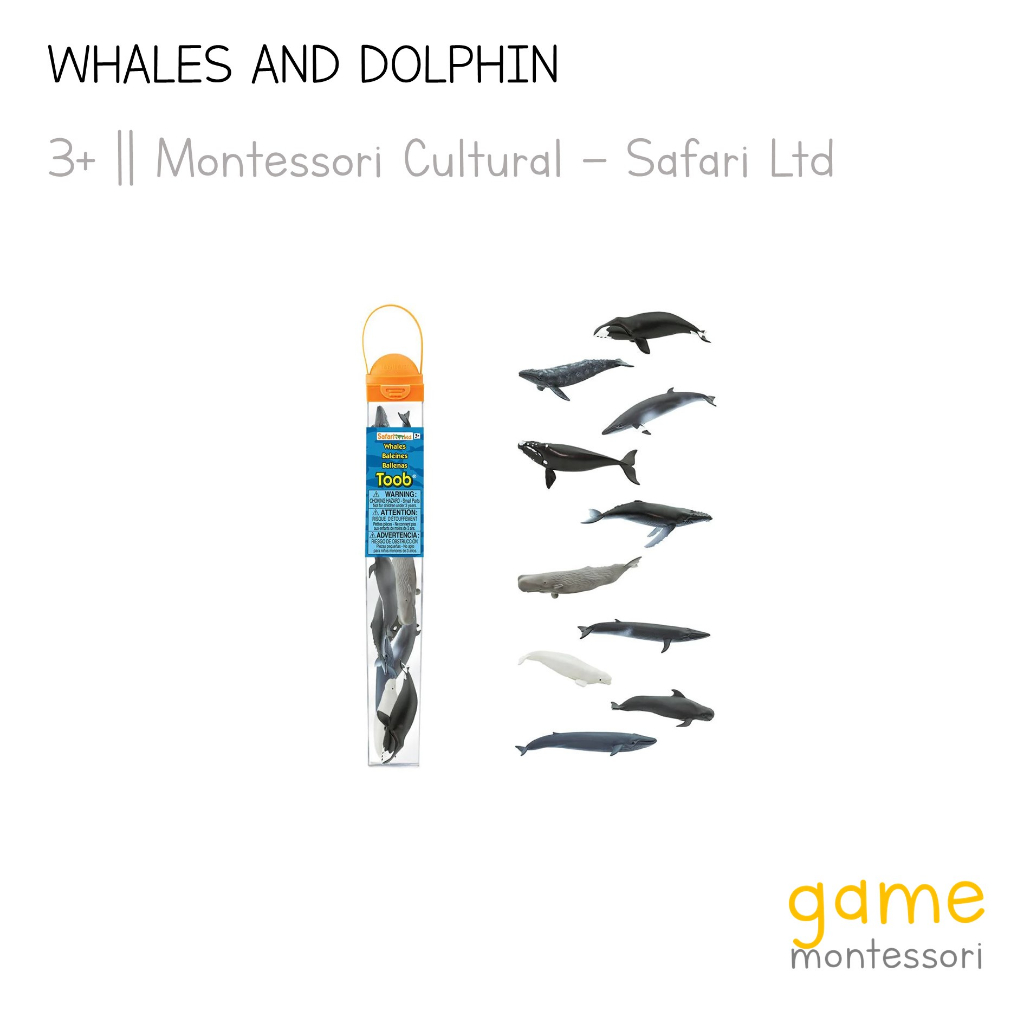 Safari Ltd Toobs Whales and Dolphins | Shopee Malaysia