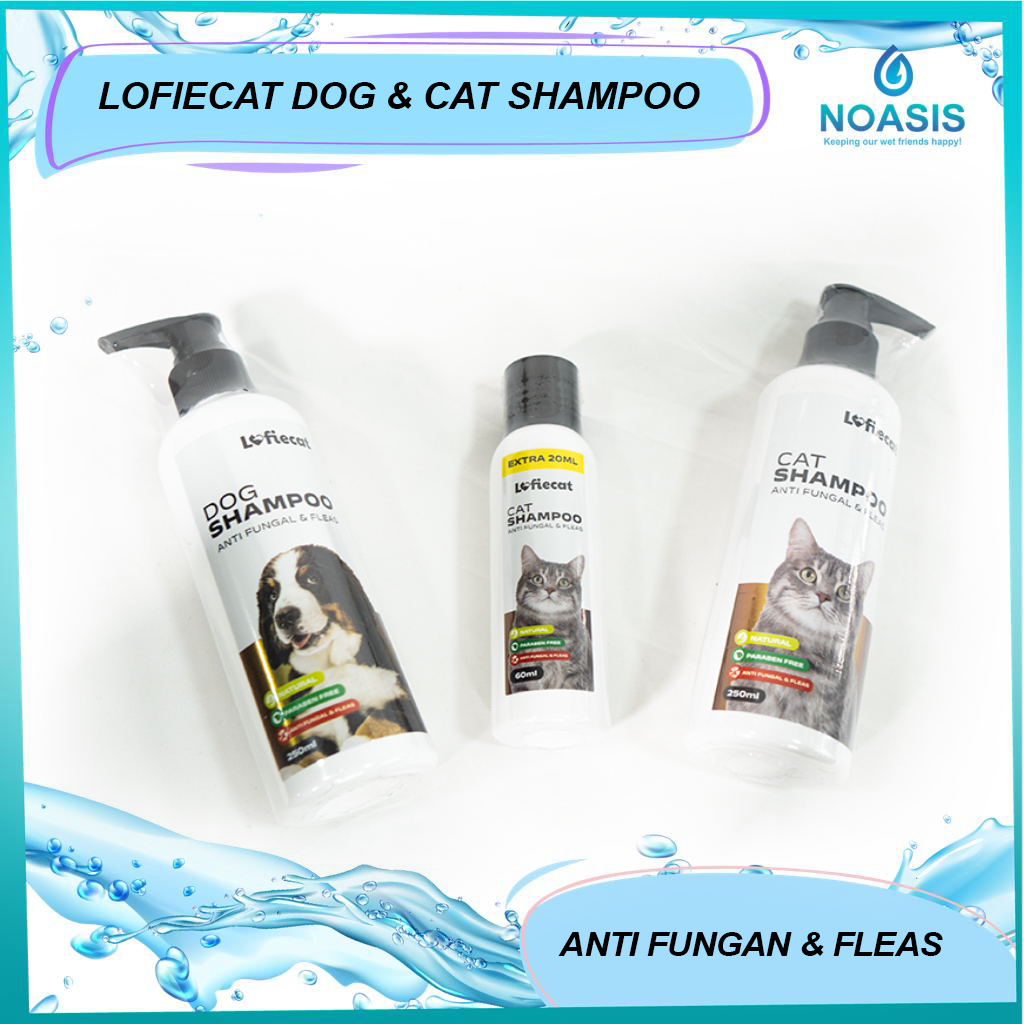 Lofie CAT SHAMPOO Anti Fungus And Fleas Anti Fungus And Fleas Anti ...
