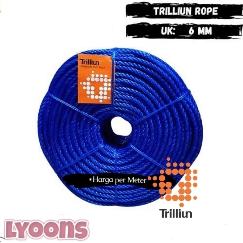 6mm rope / nylon rope / clothesline / swing rope Per meter | Shopee ...