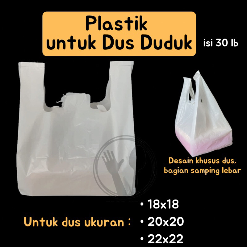 30pc] Plastic Sitting Box (dus 22) Sitting Bag/Plastic Box (dus 18 ...