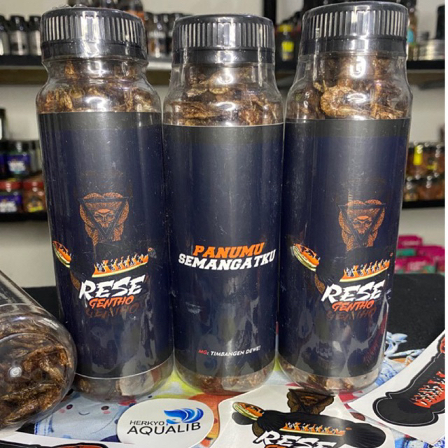 Rese Gentho dried shrimp flower booster by tobel | Shopee Malaysia