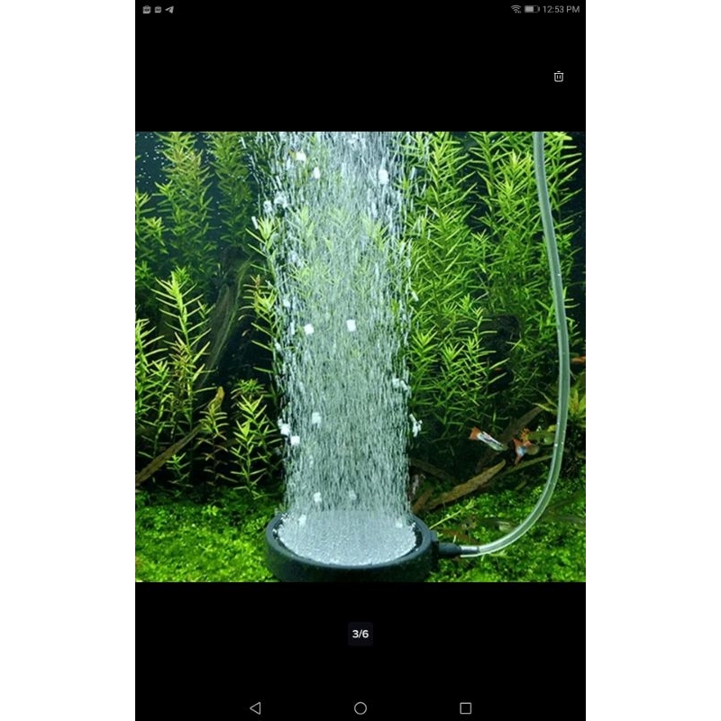 Stone Arerator Bubble Disk Air Stone Plate Bubble Aquarium Aquarium ...