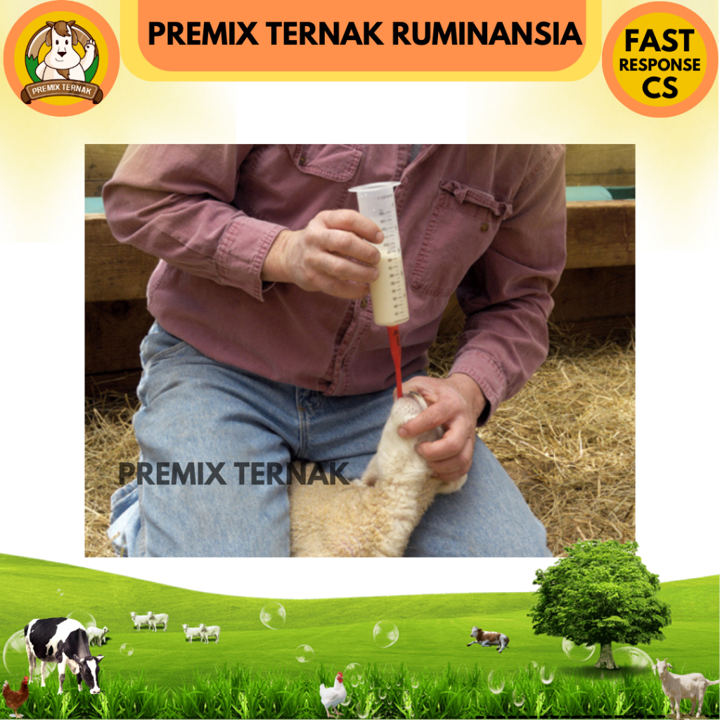 Rubber TUBING cempe GOAT SHEEP - Tool for inserting Colostrum and milk ...