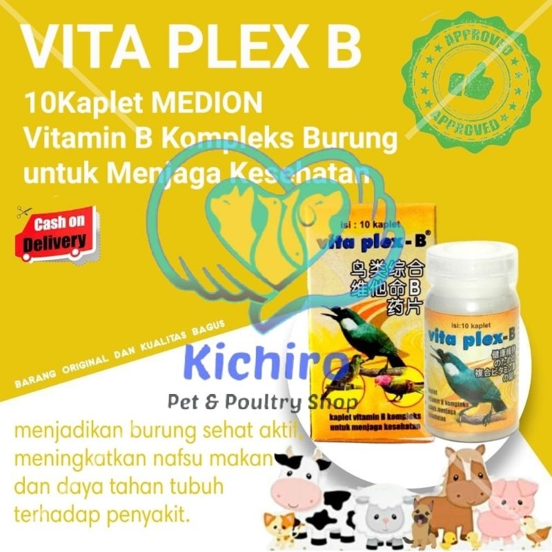 Vita Plex B Contains 10 Capslets Medion Vitaplek Vitamin B Complex/B Complex For All Types Of ...