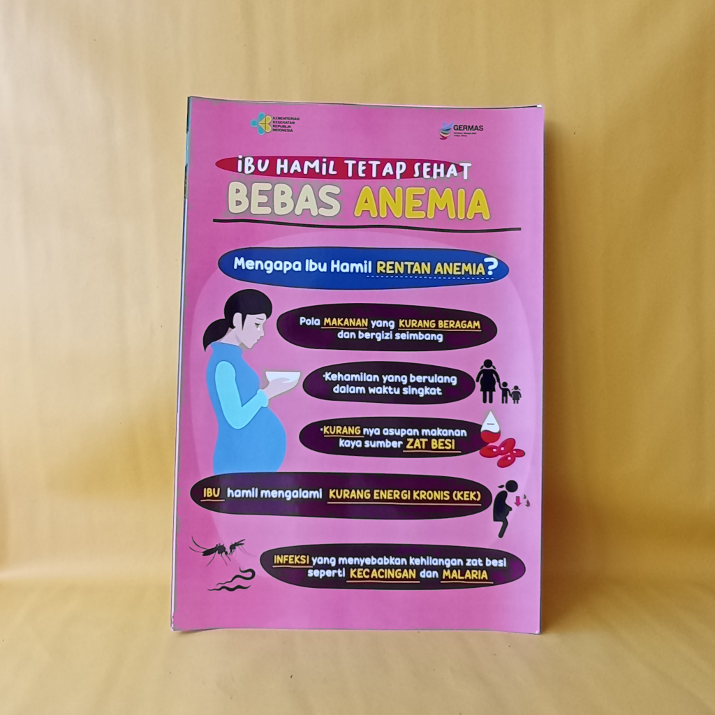 Health Poster | Anemia Poster for Pregnant Women | Anemia-Free Pregnant ...