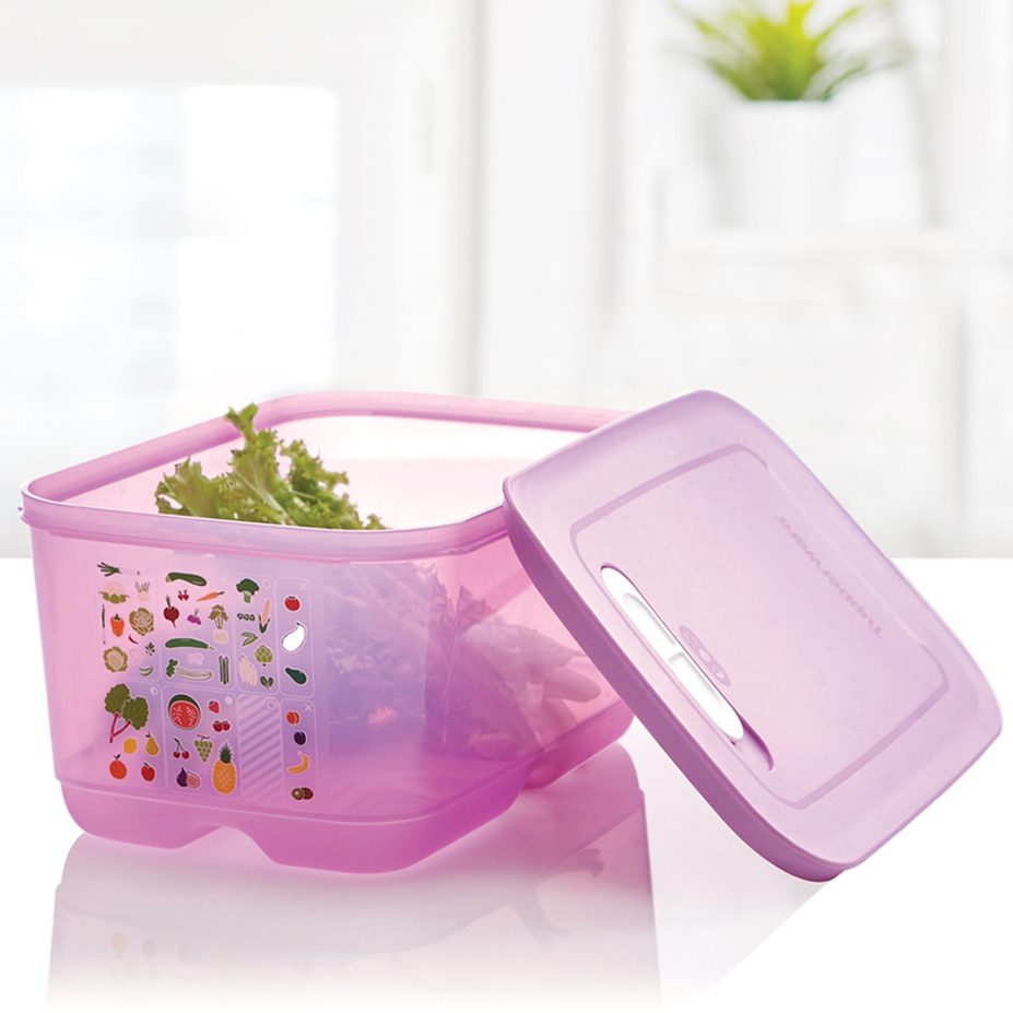 VENTSMART 4.4 L Tupperware Food Container, Cake Container, Fruit ...
