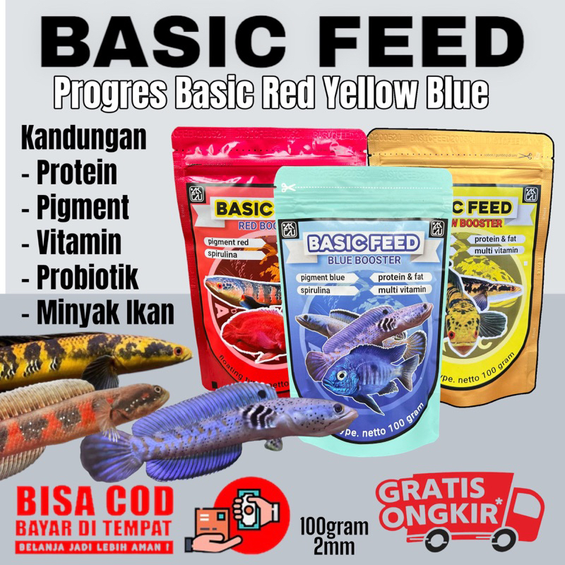 Channa yellow sentarum Fish Pellets | Red sentarum | Blue Long Dress ...