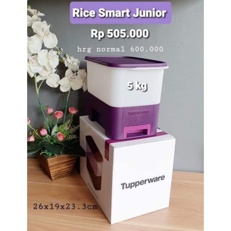 Rice smart 5 liter TUPPERWARE rice Container | Shopee Malaysia
