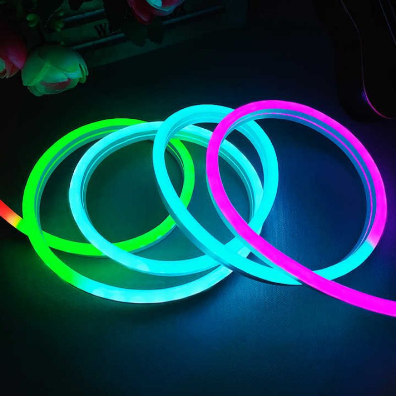 Neon Flex Lamp 220v 1m 2m 3m 4m 5m Led 1 Meter Flexible Hose+Socket ...