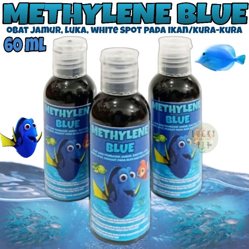 Methylene blue Medicine blue blue Antibiotics fish Medicine Fungus Wound white spot Parasite ...