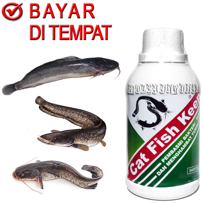 Catfish Medicine Exterminate Parasite Skin Wound Bacteria CAT FISH KEEP ...