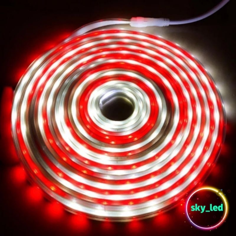 PUTIH MERAH Red And White LED Strip Lights 10M Hose Complete Package AC ...