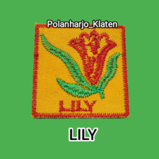 Lily Girl Scout Team Sign / Lily Scout Team Sign / Lily Team Sign ...