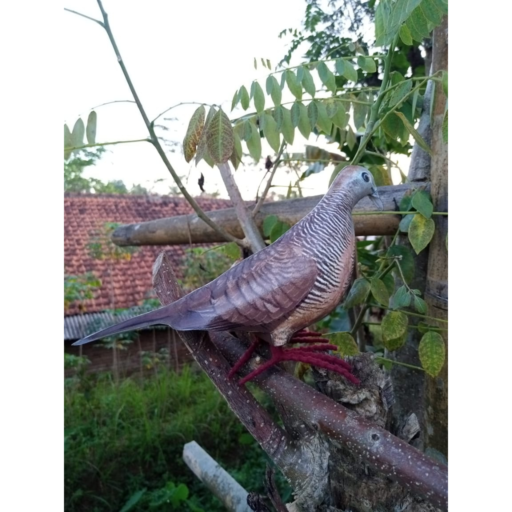Jontrot Bird Statue/Droplet | Shopee Malaysia