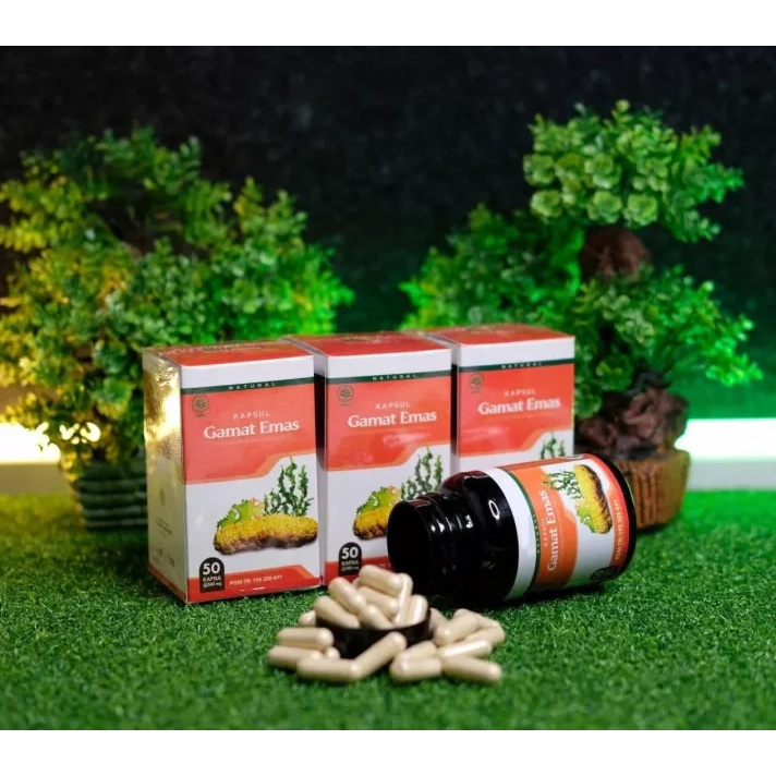 100% ORIGINAL GAMA EMAS CAPSULES, GOLD GAMAT CAPSULES, GAMAT CAPSULES ...