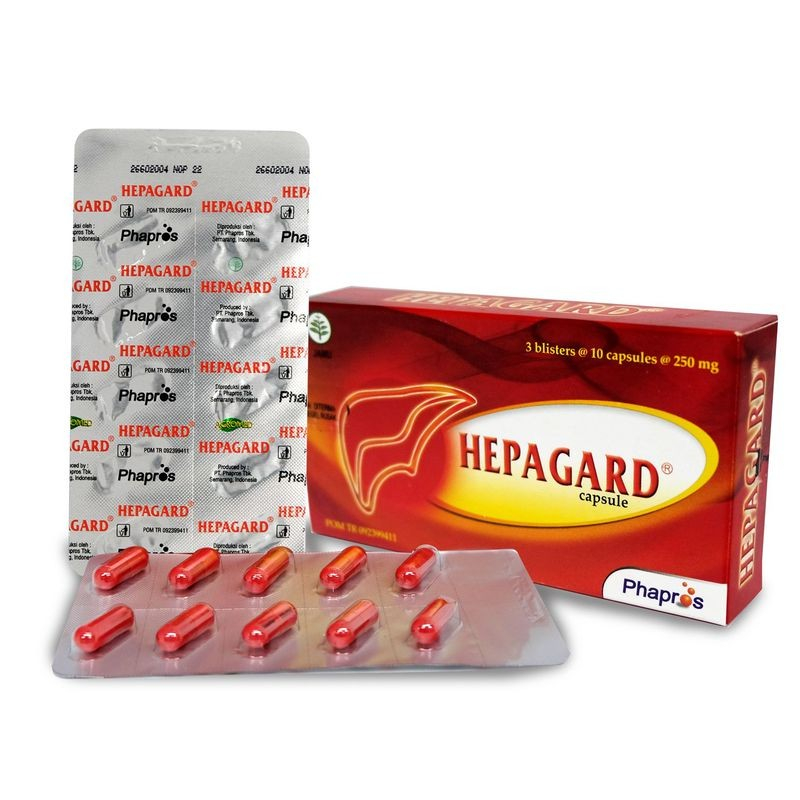 Hepagard AGROMED 1 STR @ 10 CAP/VITAMIN Liver Function Health | Shopee ...