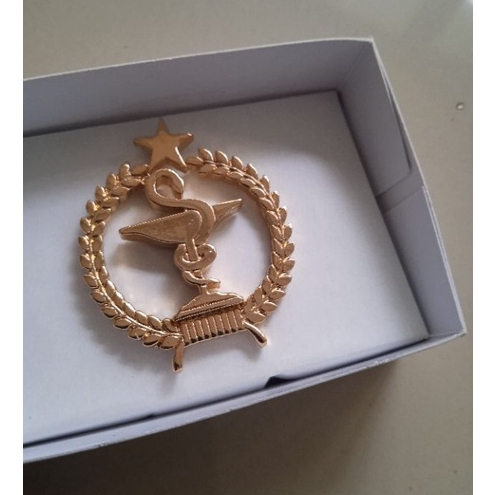 Brivet pin wing logo brevet parmasi Pharmacist Clothes | Shopee Malaysia