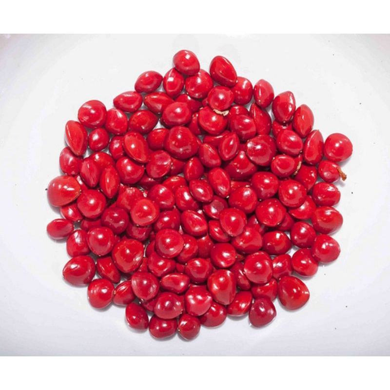 MERAH Red saga Seeds 1kg | Shopee Malaysia