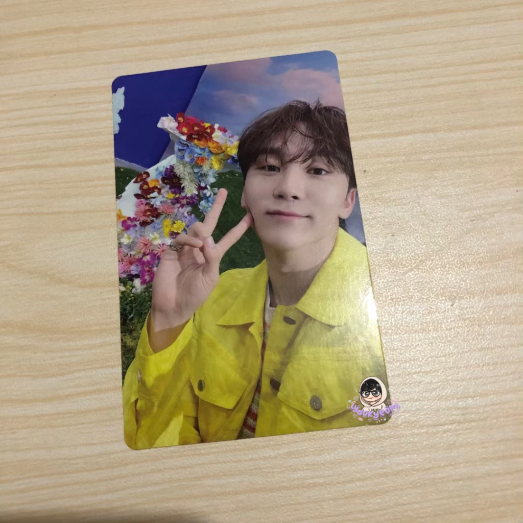 Seventeen PHOTOCARD OFFICIAL SEUNGKWAN VERNON JUN HOSHI MINGYU FML AN ODE KIT SECTOR17 HOSHI ...