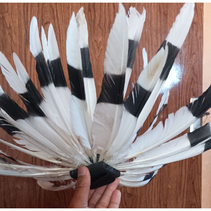 Kirip bulu/Dayak Traditional Dance Accessories (Price Is Already 1 Pair ...