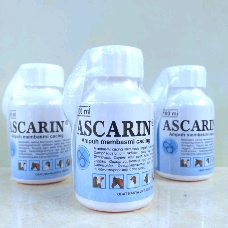 Ascaryin 100 ML EFFECTIVE CACIN MEDICINE for goats, sheep, cows ...