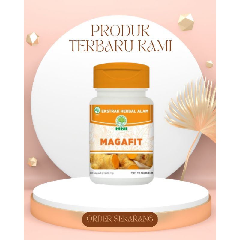 Magafit Hni Hpai Herbal Ulcer Gerd Digestive Tract | Shopee Malaysia