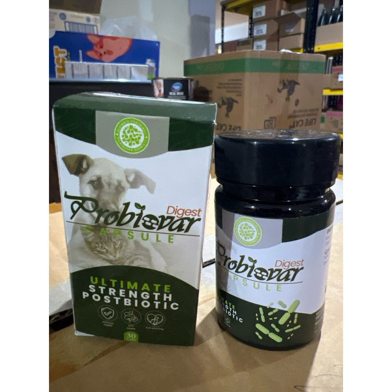 Probiovar DIGEST - contains 30 capsules Probiotic Medicine Anti ...