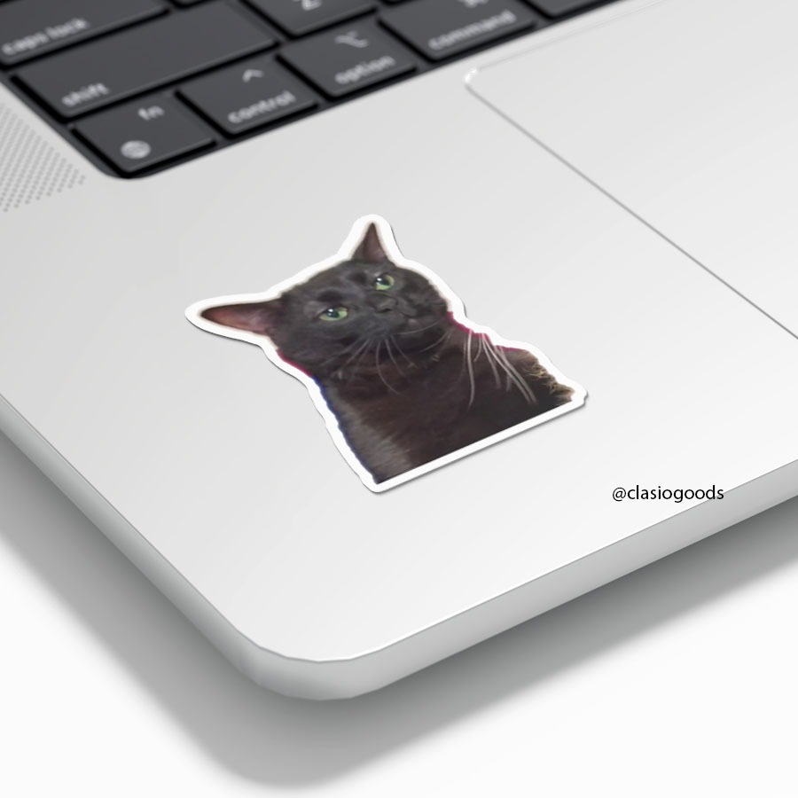Sticker Paste "Zoned Out Cat" | Shopee Malaysia