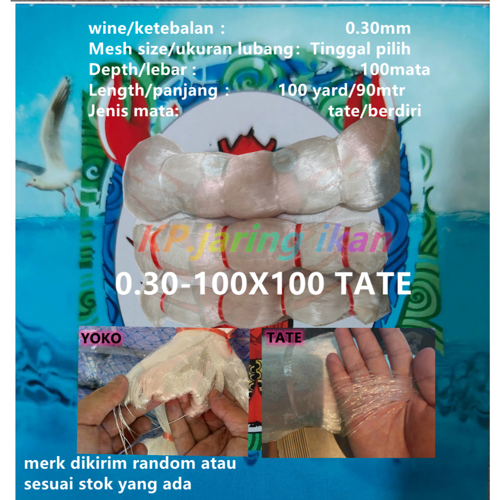 String Fishing Net Size 0.30 - 100X100 - TATE (Hole Size, Just Choose ...