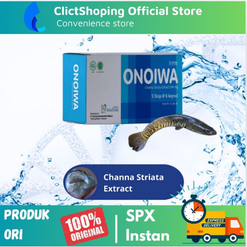 Onoiwa CAPS 1 BOX CONTAINS 30 CAPSULES | Premium Albumin is not fishy ...