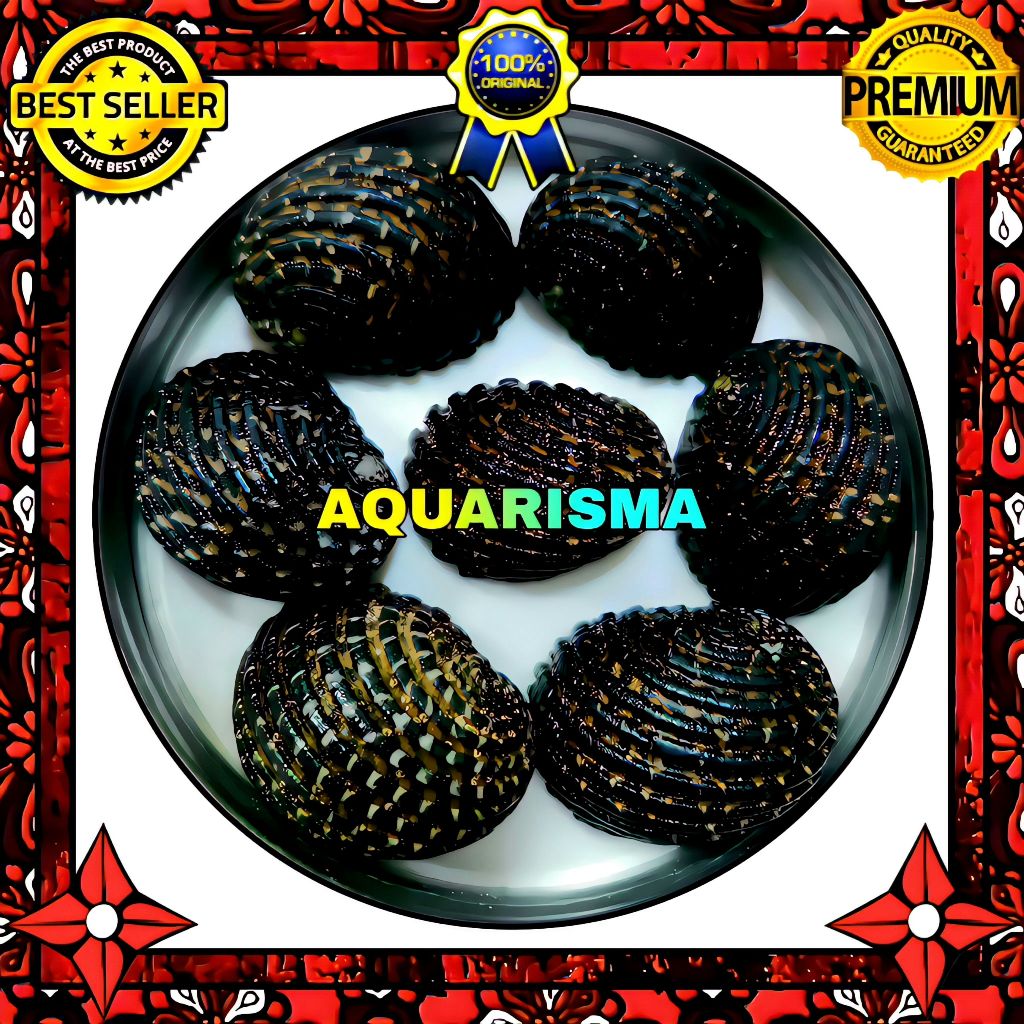 Decorations AND COLLECTIONS - SKIN SHELLS EXUVIA SNAKE SKIN GRADE A+ ...