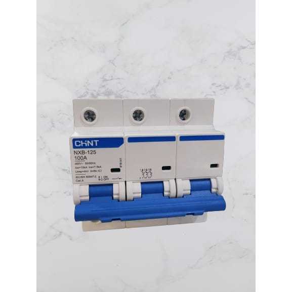 Mcb CHINT NXB-125 3PHASE 100A MCB 3PHASE CHINT 100 Amperes | Shopee Malaysia