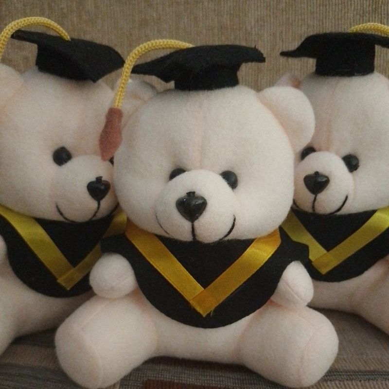 Graduation Doll/Mini Graduation Bear-+ 14 cm | Shopee Malaysia