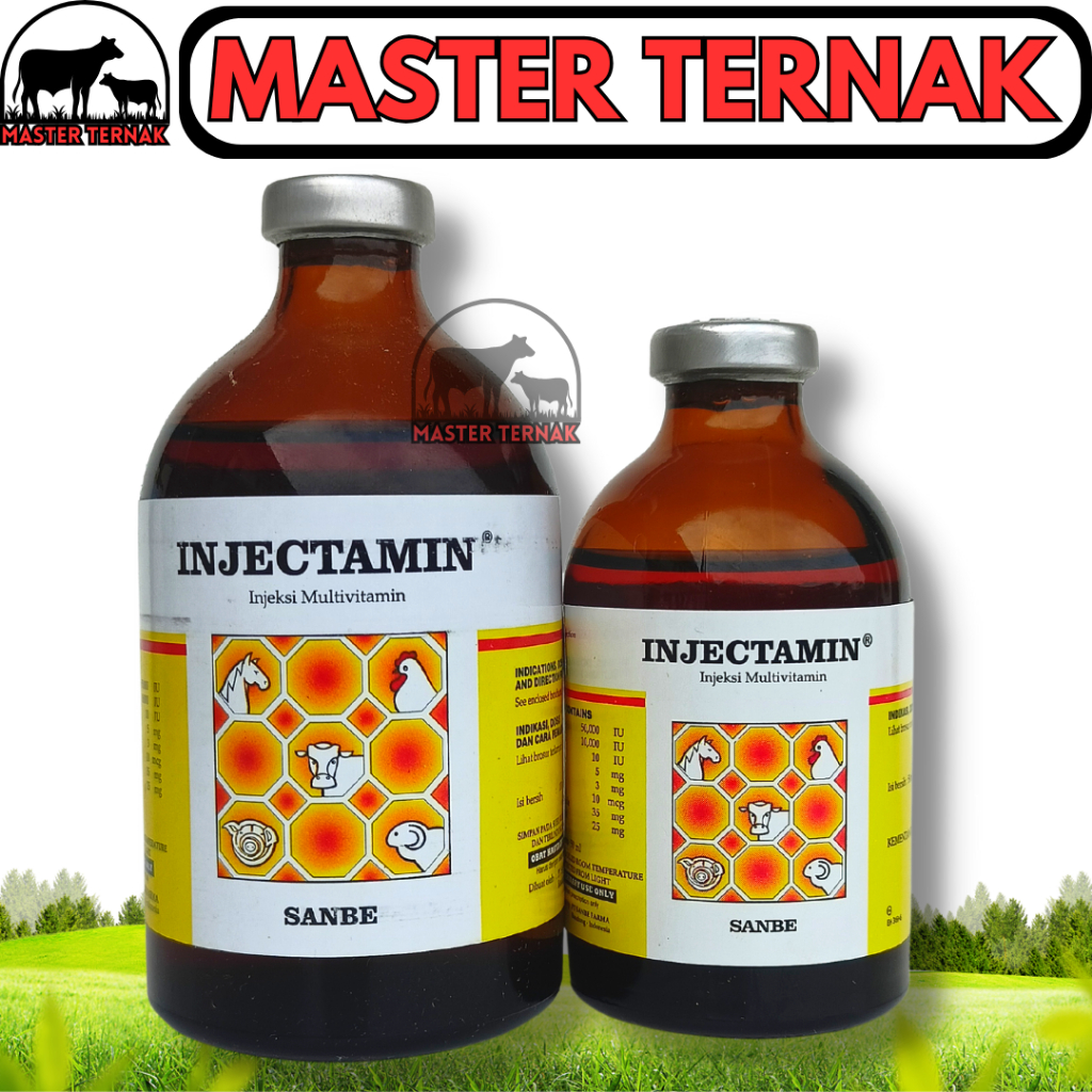 Injectamine 50ml And Injectamine 100ml SANBE - High Dosage Multivitamin ...