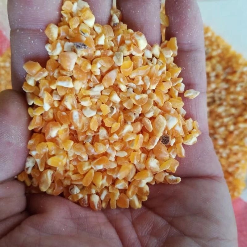 Crystal Corn Pigeon Feed/Poultry Chicken Packing/Pigeon Packing ...