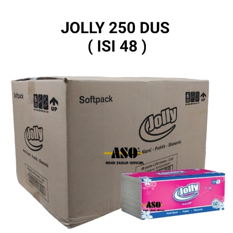 Jolly Tissue Cargo Tissue 250 Sheets Box (Content 48) | Shopee Malaysia
