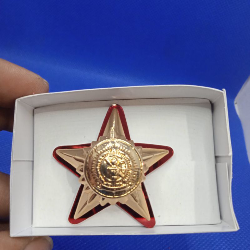 Brevet wing pin pdh seskoad mica acrylic base | Shopee Malaysia