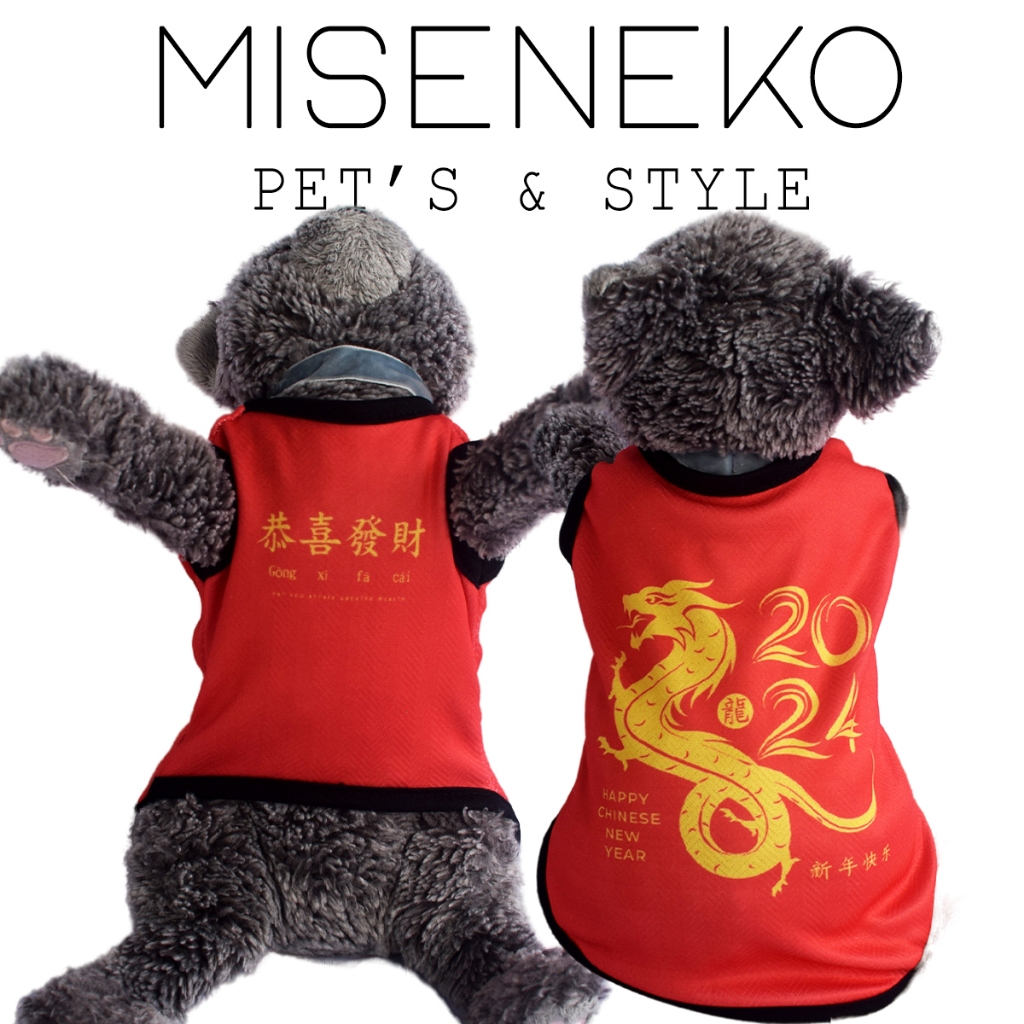 KAYU Chinese New Year Cat Clothes Dog Rabbit Monkey Cute Wooden Dragon ...