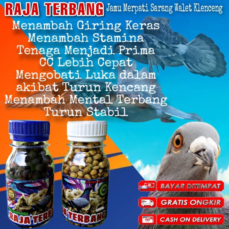 HITAM King Fly High Contents 100 Pills Black King Hit stut door doping ...