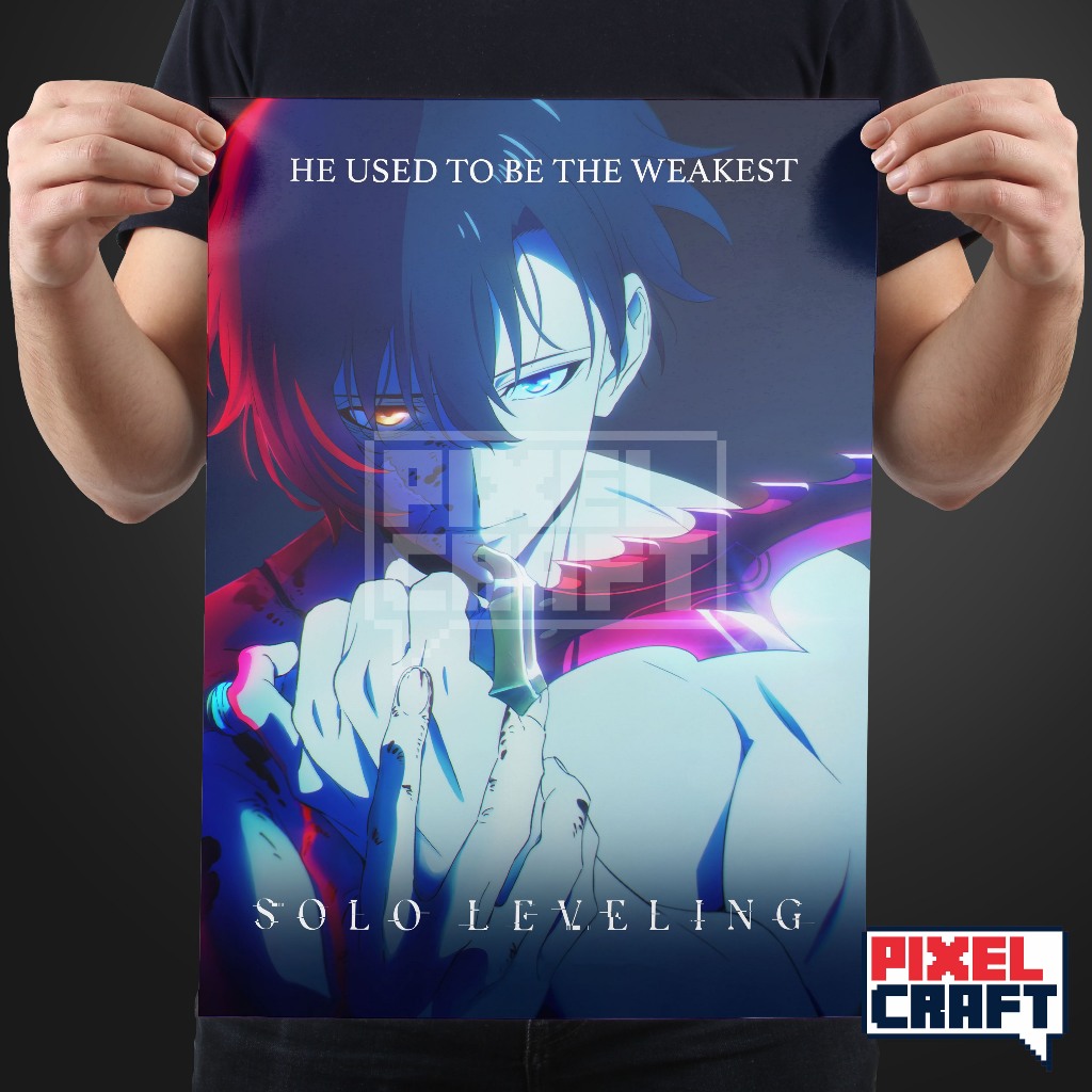SOLO LEVELING Anime Wall Poster Size - A3 | Shopee Malaysia