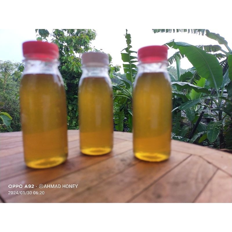 Pure honey sample 100 grams | Shopee Malaysia