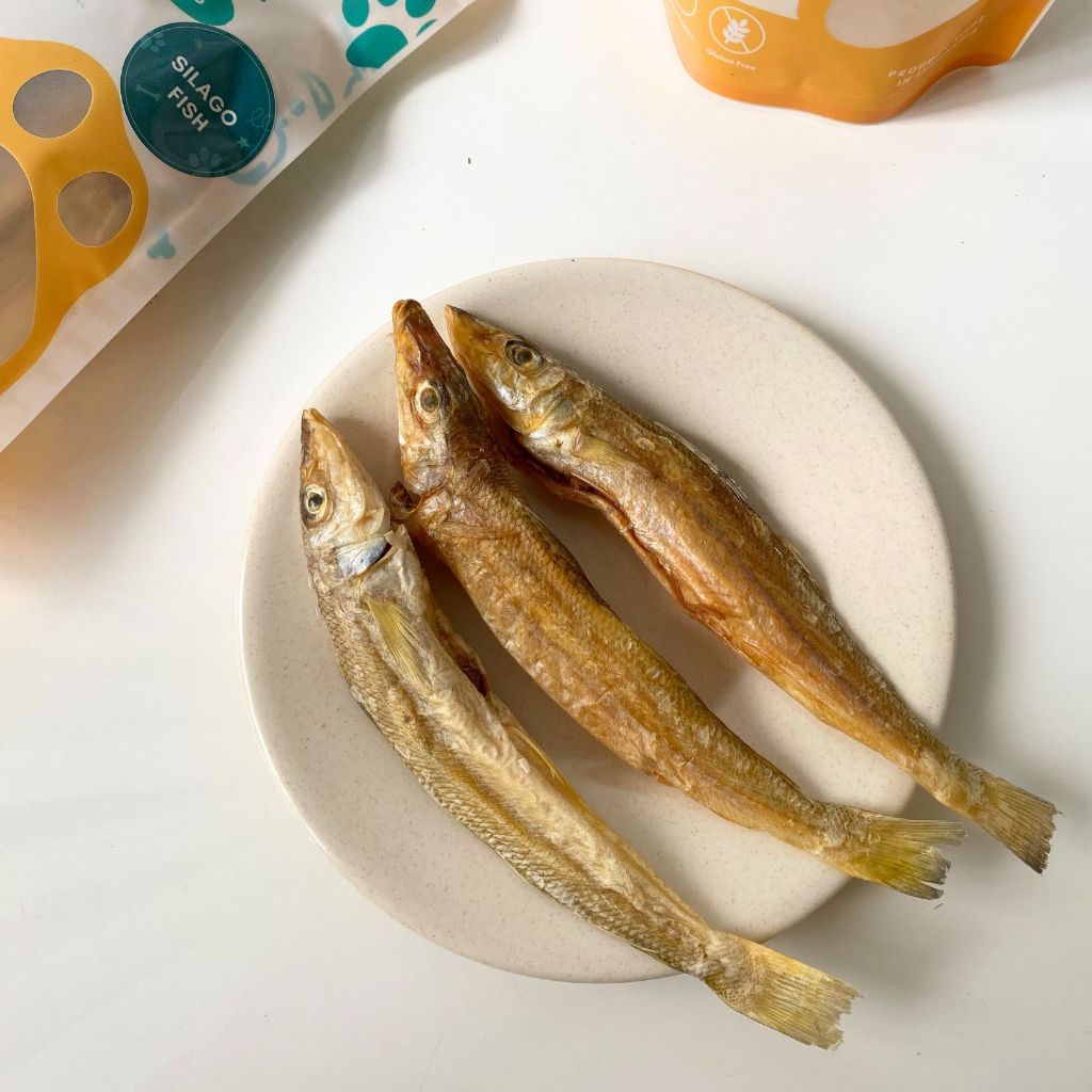 Tiny Paws - Silago Fish Dog Treats [Free Sample Treats] Dried Fish ...